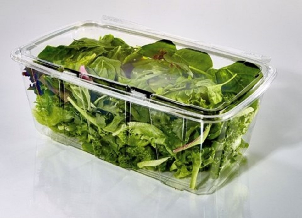 Item No 1630 Five quart clamshell till clear 50 pack 5 Quart Clam Hinge ...